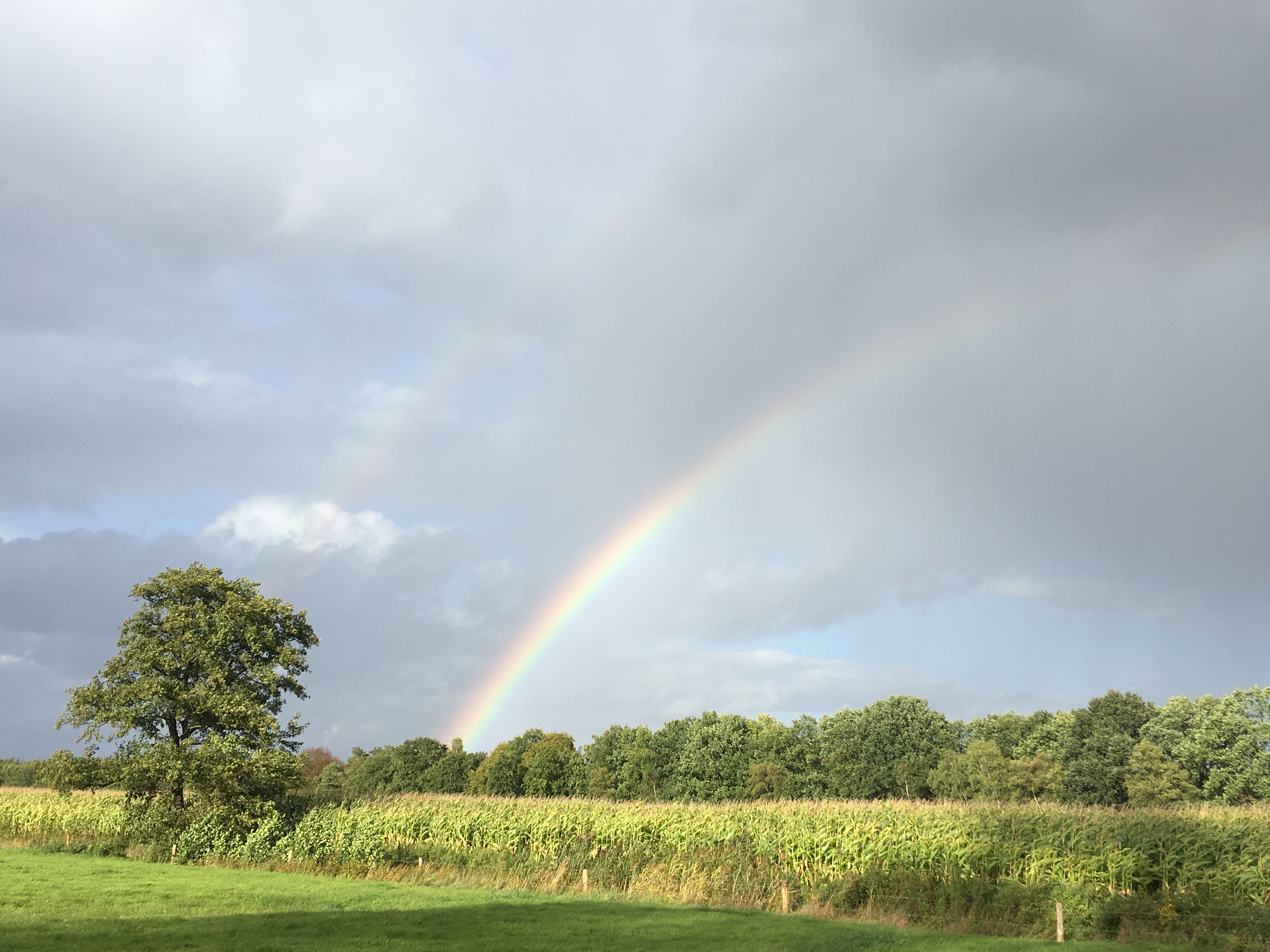 Developments in climate scenarios - how relevant are they to KWR? - KWR