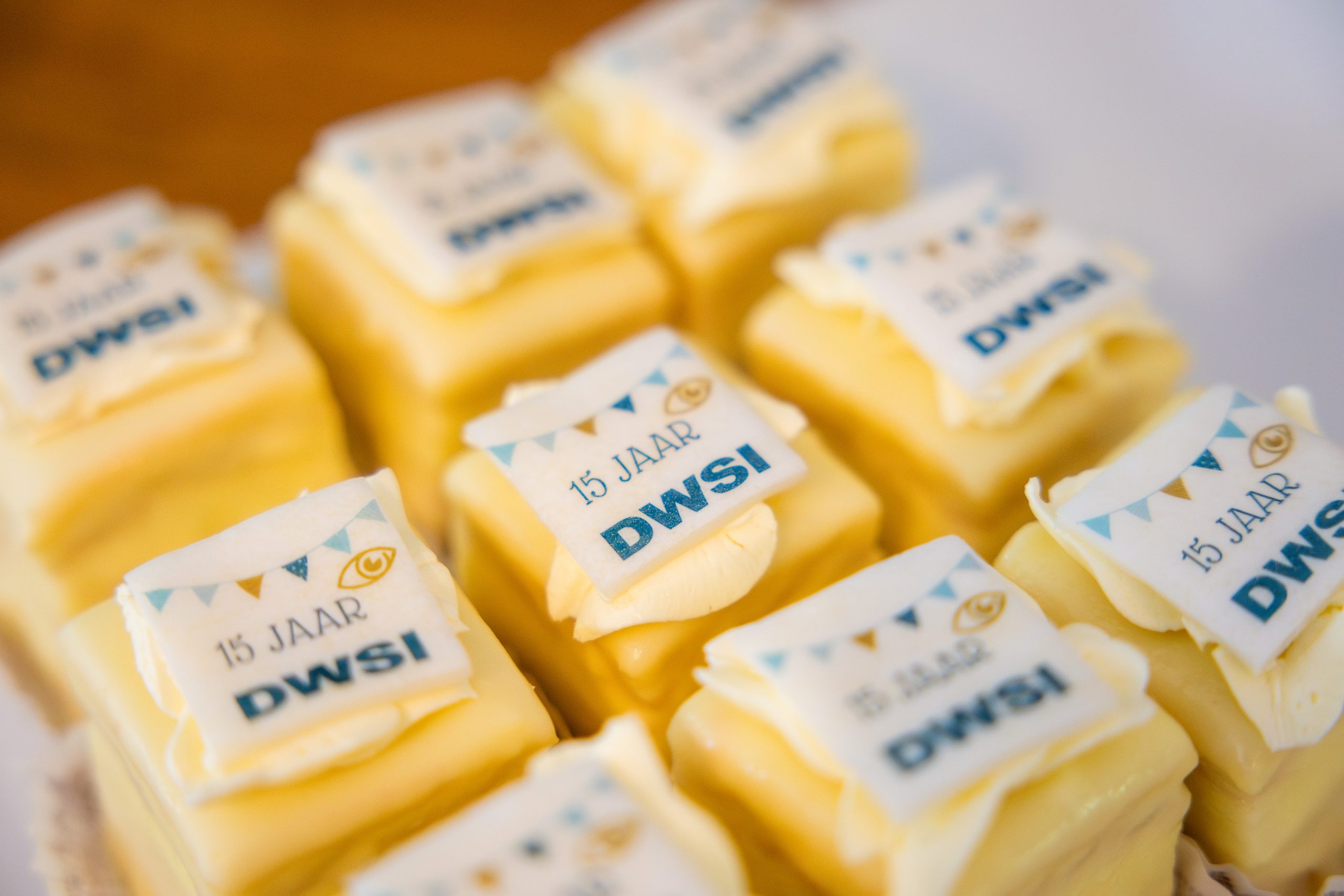 DWSI viert 15-jarig jubileum met inspirerende denktanksessie - KWR