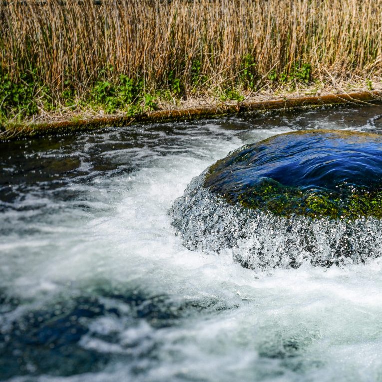 Bridging Science to Practice | KWR